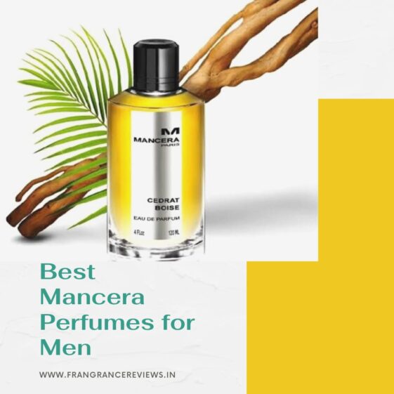 Best Mancera Perfumes for Men: A Complete Guide - Redolence